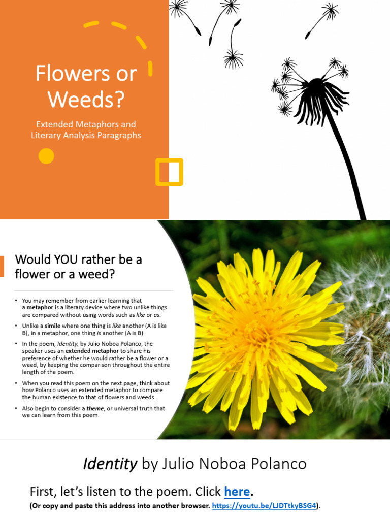 Flowers or Weeds?: Extended Metaphors and Literary Analysis Paragraphs ...