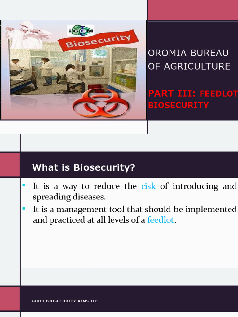Bio Security | PDF