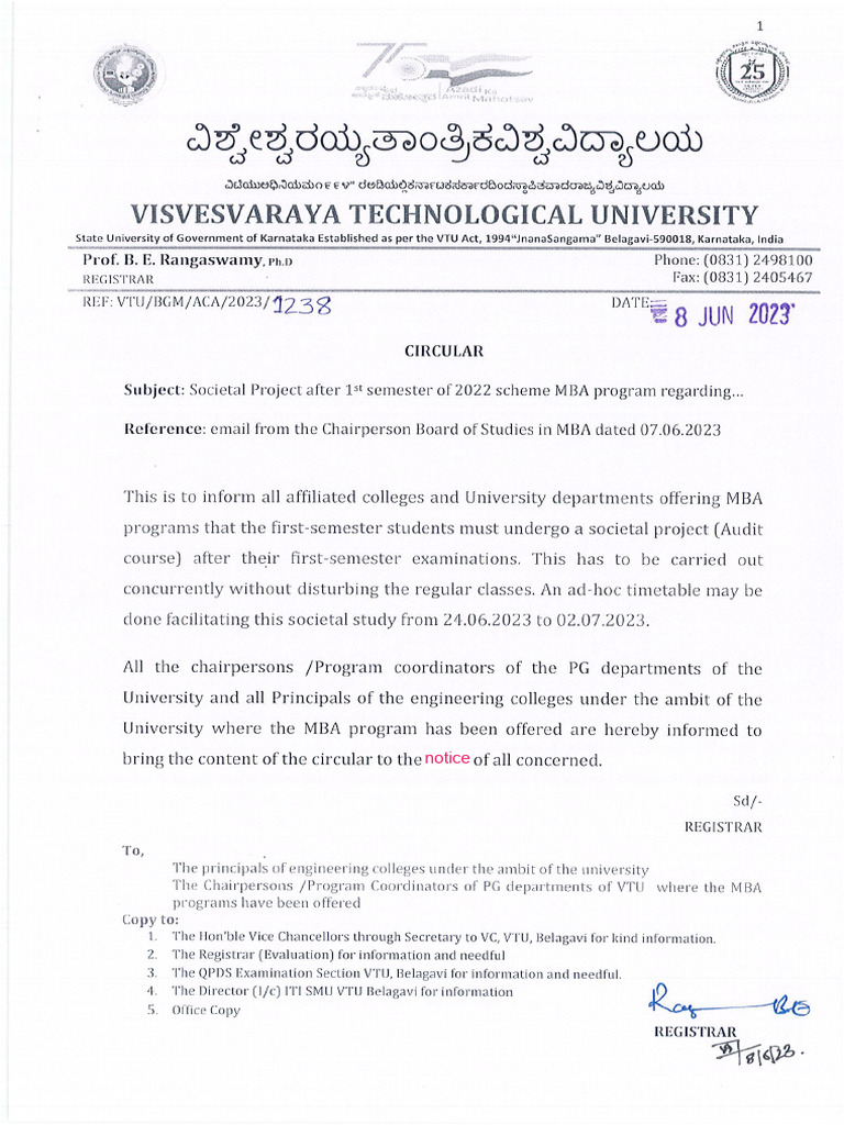 MBA Societal Project | PDF