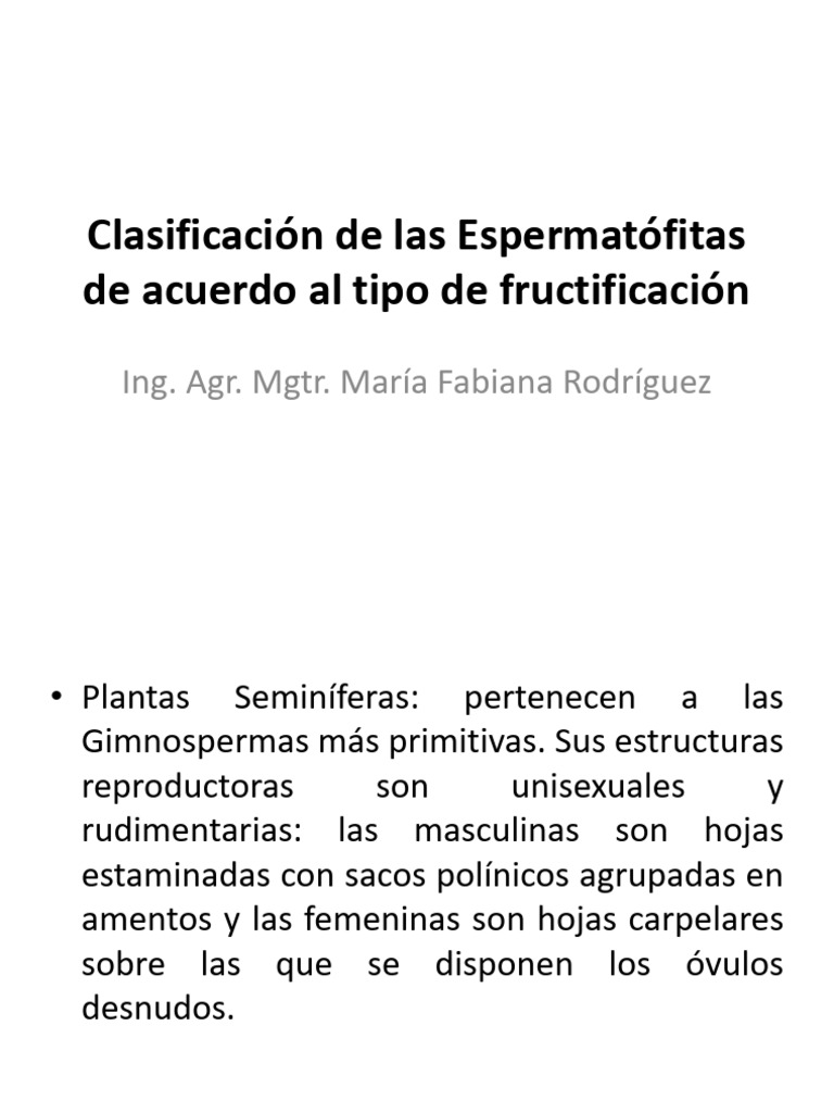 Clasificación de Las Espermatófitas de Acuerdo Al Tipo | PDF