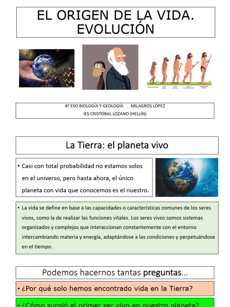 Presentación Evolucion | PDF | Evolución | Homo