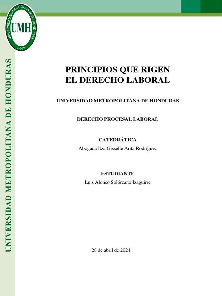 Principios Que Rigen Derecho Laboral | Descargar gratis PDF | Derecho ...