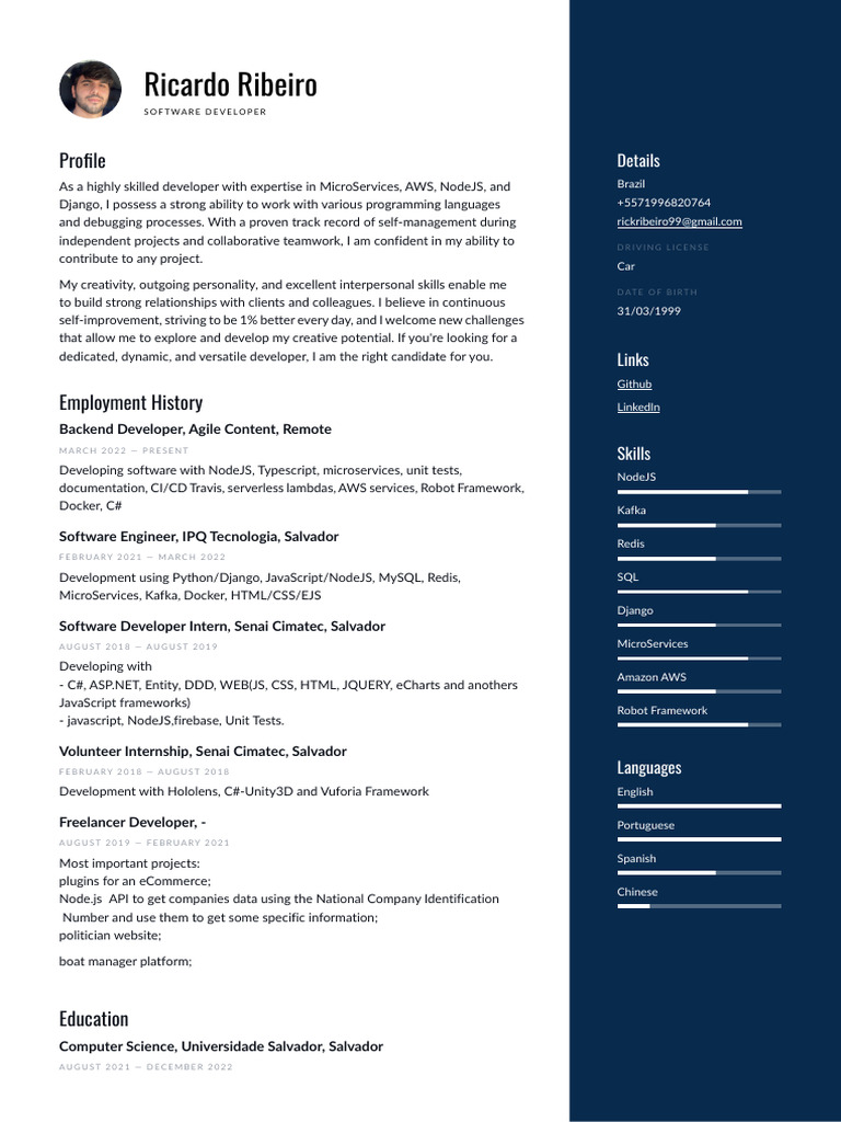 Ricardo Ribeiro - Software Developer | PDF | Computer Science | Information Technology
