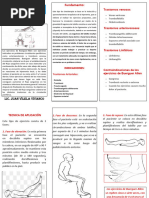 Ejercicios Buerger-Allen para Circulación | PDF | Trombo | Enfermedades ...