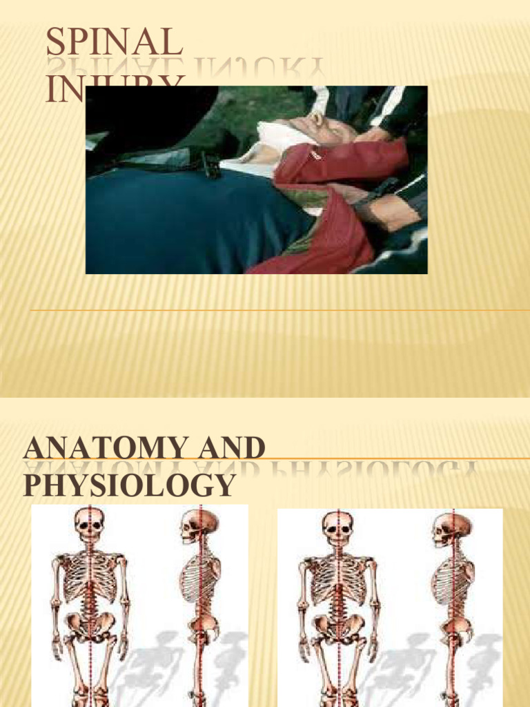 Spinal Injury | Download Free PDF | Spinal Cord Injury | Spinal Cord