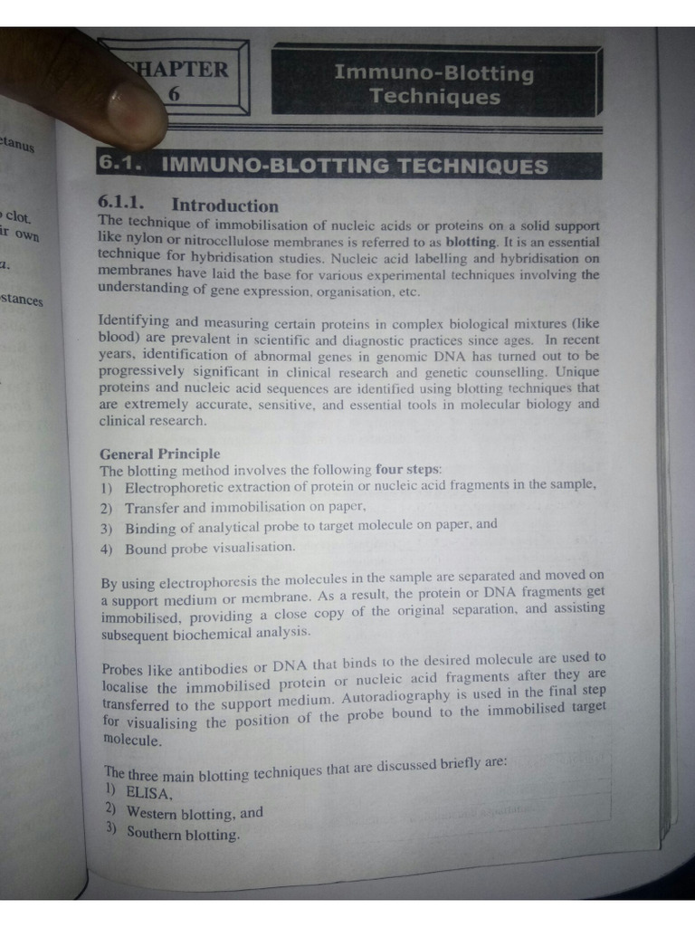 Biotechnology Unit 4&5 Sem 6 Notes | PDF