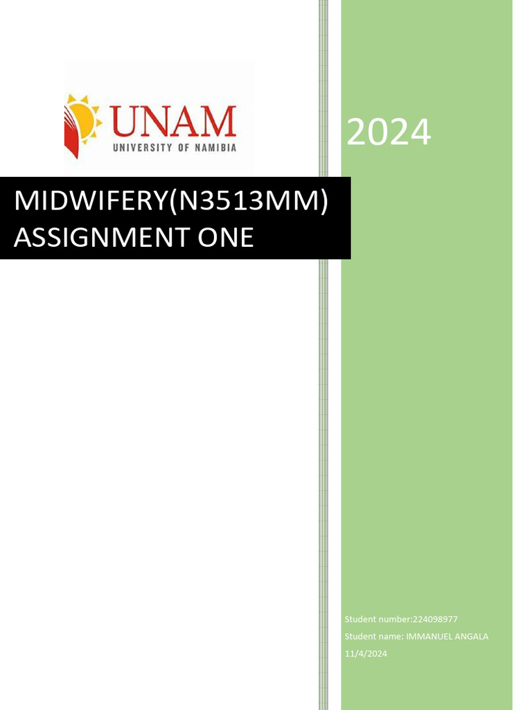 Midwifery Assignment on Domestic Violence | PDF | Family Planning ...