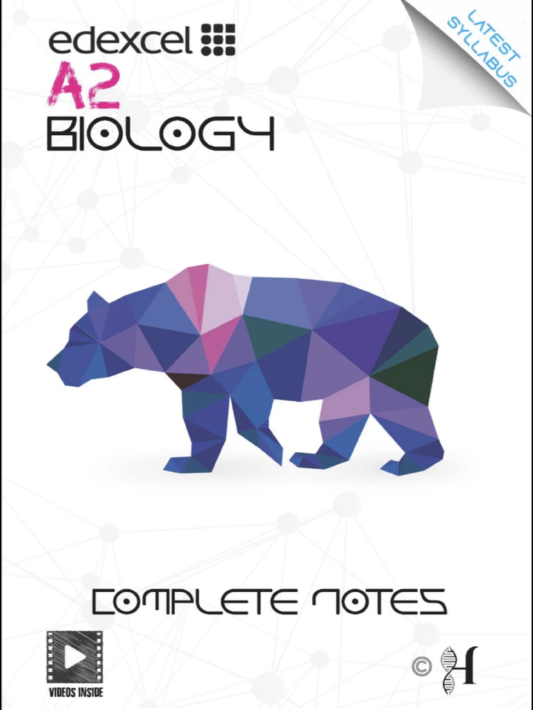 Bio Notes Unit 4 (Chembioinfo) | PDF