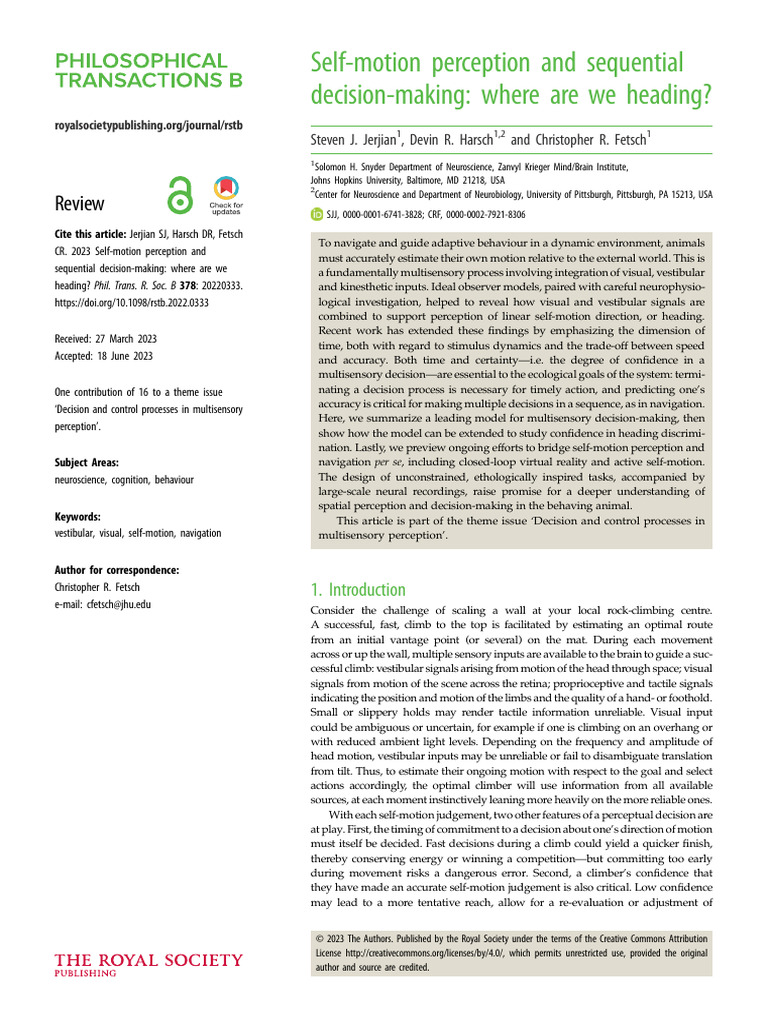 Experimento Toma de Decisiones | PDF | Perception | Mental Chronometry