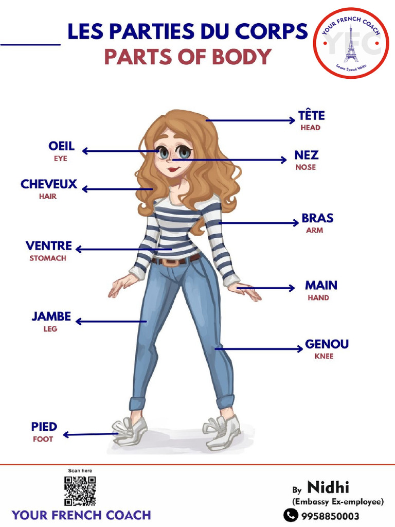Body Parts | PDF