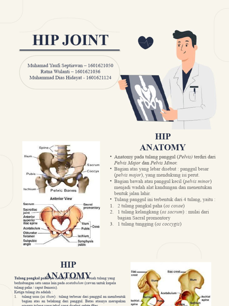 Kinesiologi - Hip Joint | PDF