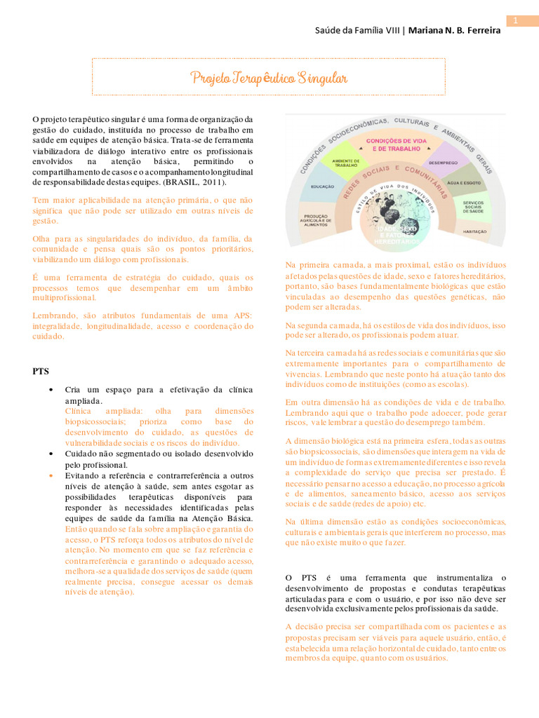 Projeto Terapêutico Singular | PDF | Família | Saúde mental