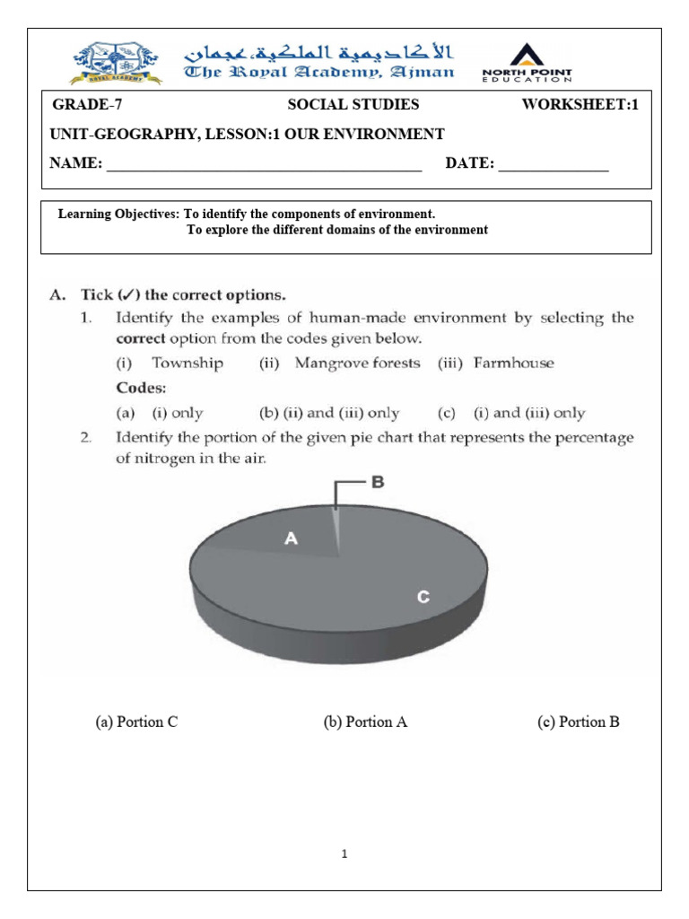 Grade 7 Geography: Our Environment Worksheet | PDF