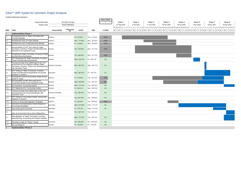 Cenmetrix Project Plan | PDF | Business Process | Software Engineering