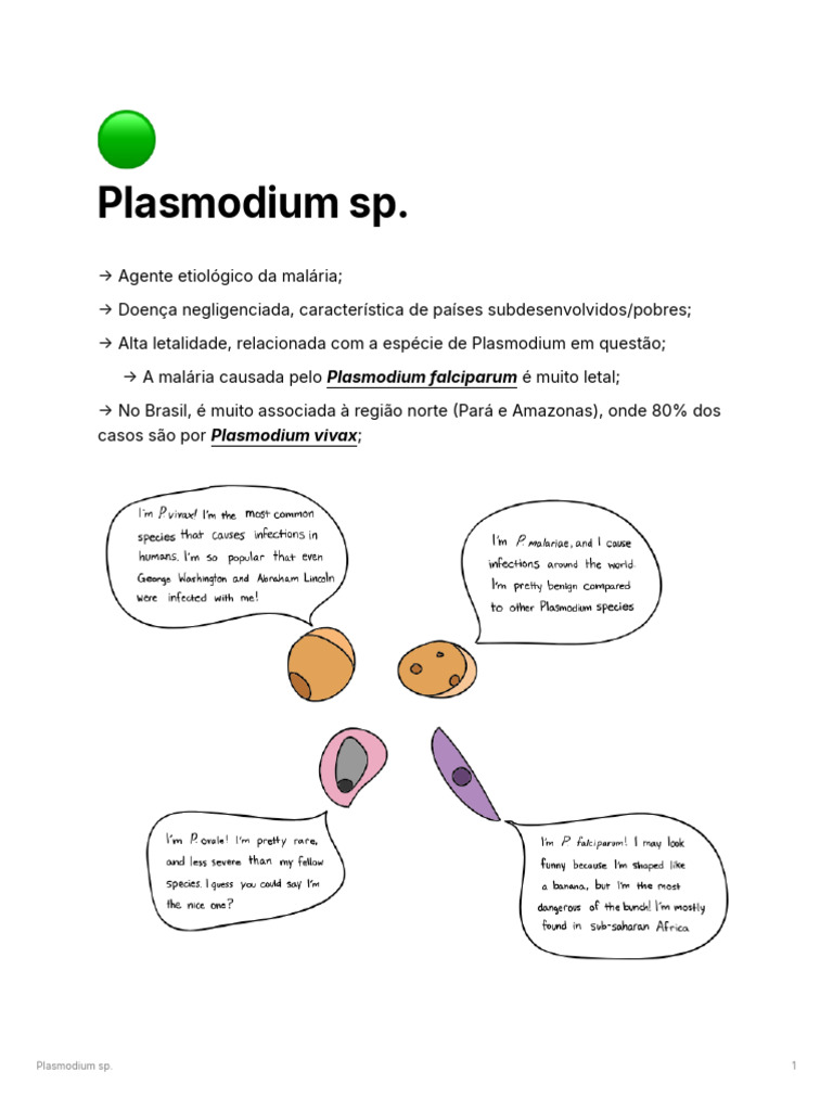 Ciclo e Formas do Plasmodium spp. | PDF | Plasmodium | Malária