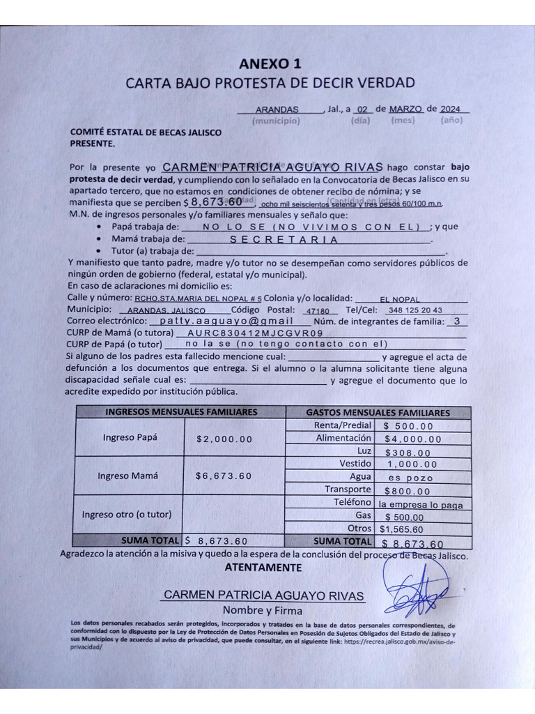 Carta Bajo Protesta | PDF