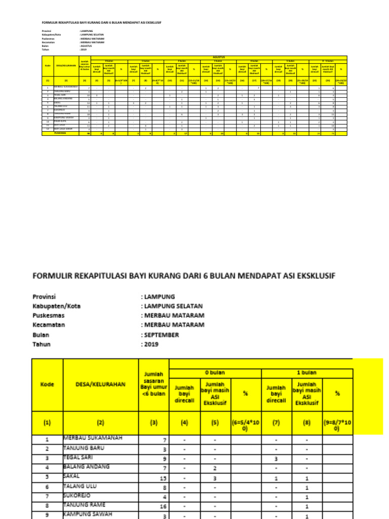 Format Laporan Asi Eksklusif 2019 | PDF