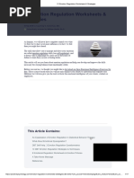 ERQ-S Questionnaire and Scoring Instructions 2024 11 | PDF | Emotional ...