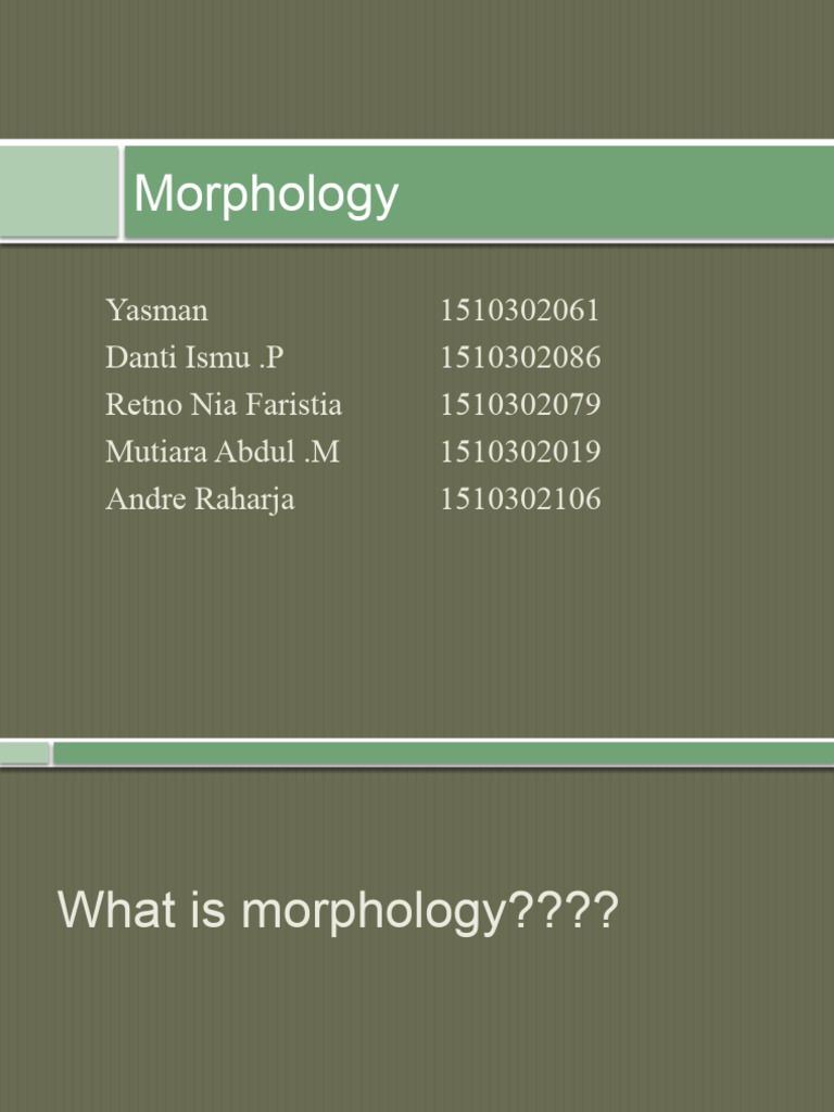 Morphology | PDF | Word | Morphology (Linguistics)