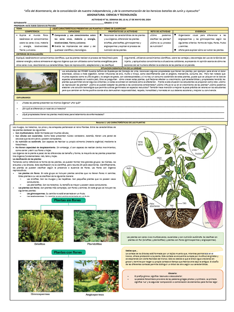 1°Sec - UNIDAD 3 - ACTIVIDAD 1 (CyT Explica 2024) - Caracterísiticas de las plantas | PDF ...