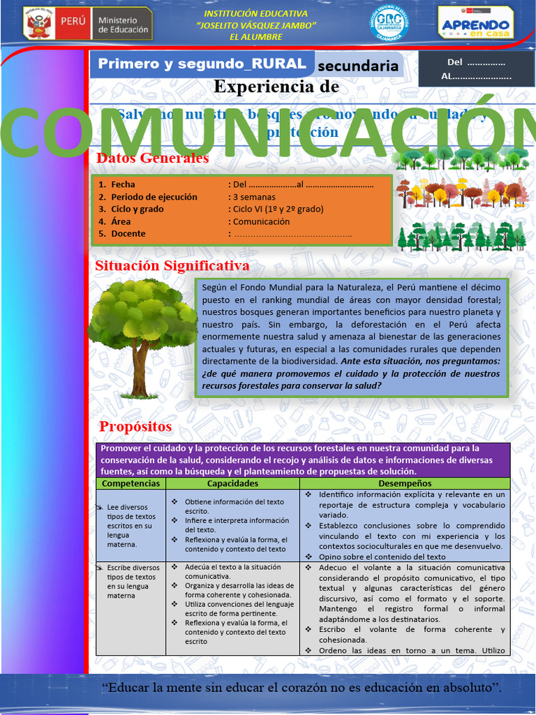 Experiencia De Aprendizaje 4 Primero Y Segundo Com Pdf