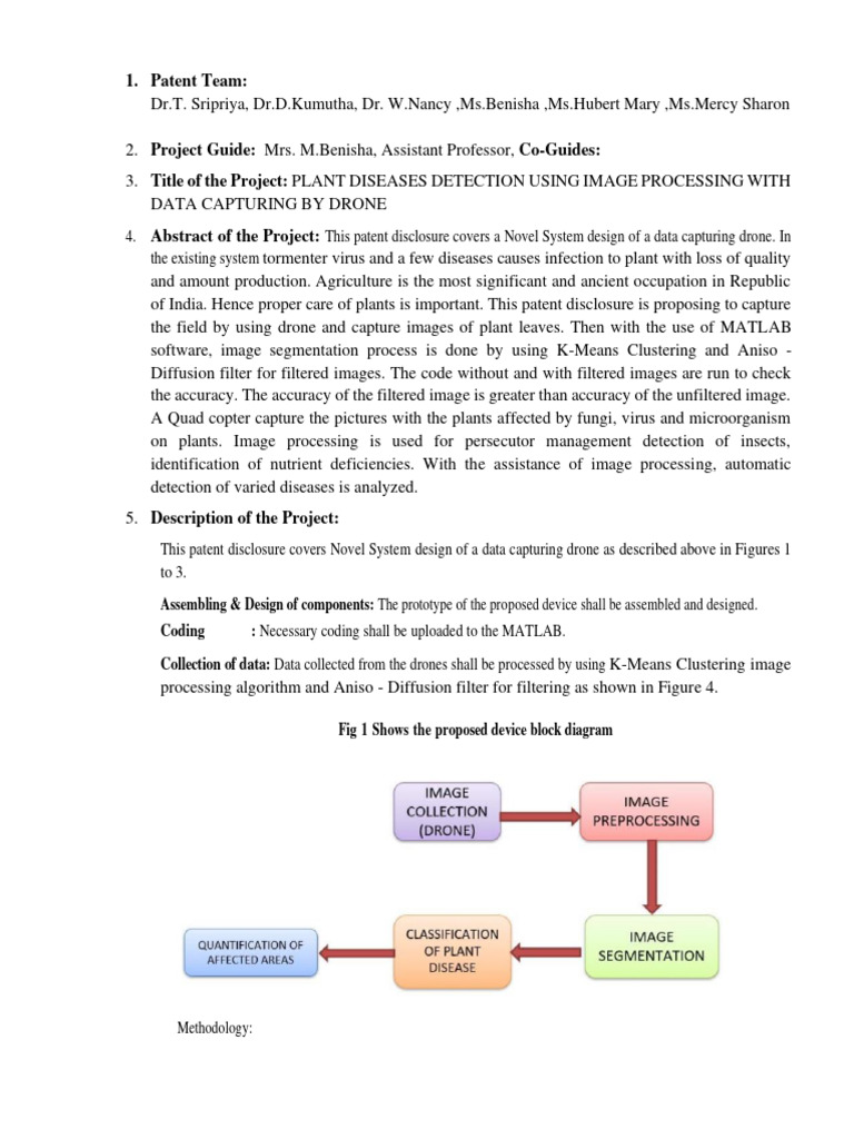 Project Patent Draft | PDF | Support Vector Machine | Image Segmentation