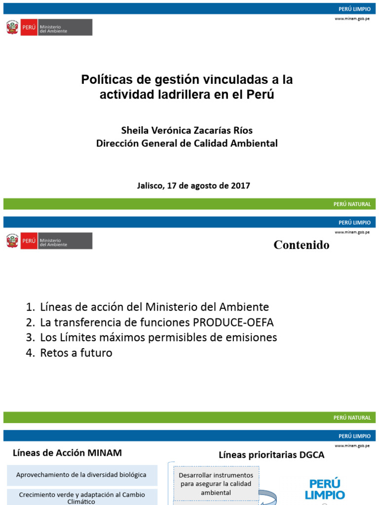 Sheila Veronica Zacarias 17 Panel1 | PDF