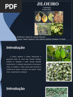 Inseticidas Epingle 100 Bula | PDF | Ferimento | Agricultura