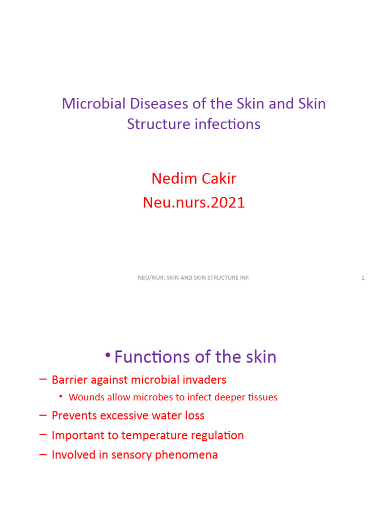 Skin Infections: Causes, Symptoms, Treatment | PDF | Infection ...