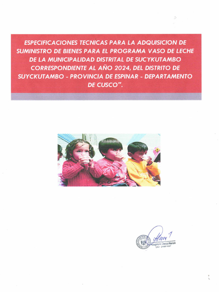 Especificaciones Tecnicas PVL 2024 | PDF