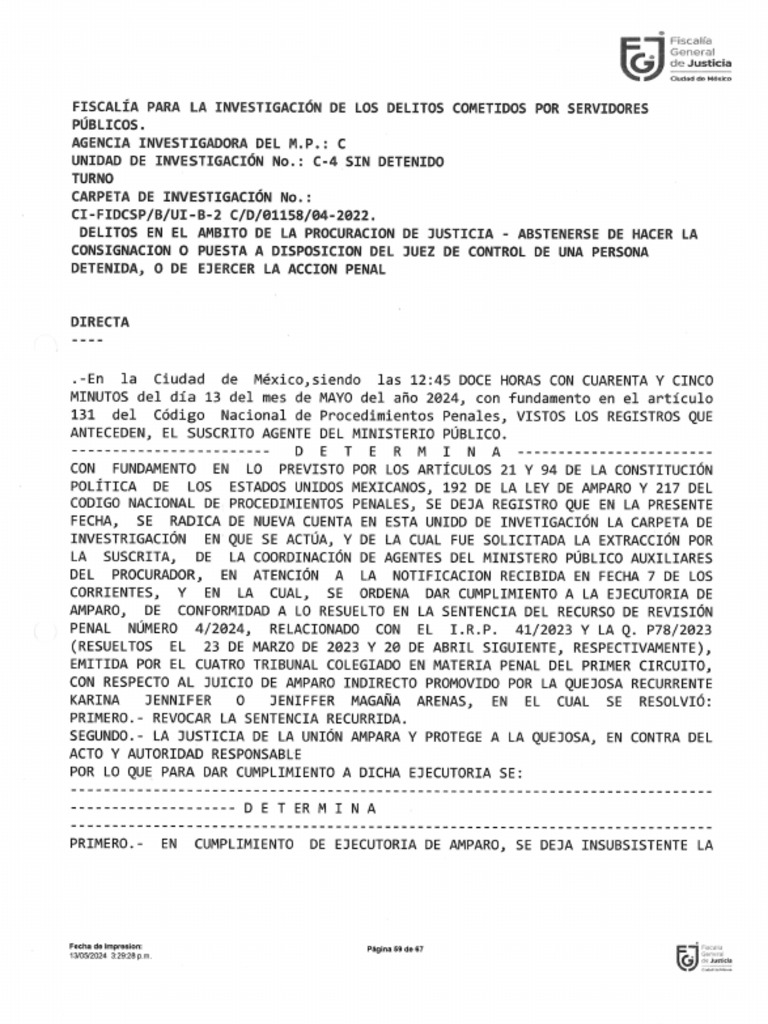 Determinacion Jennifer Magaña | PDF