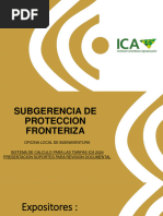 Guia de Registro de Viajero Importador y Pago Del Cis | PDF | Negocios | Finanzas y dinero