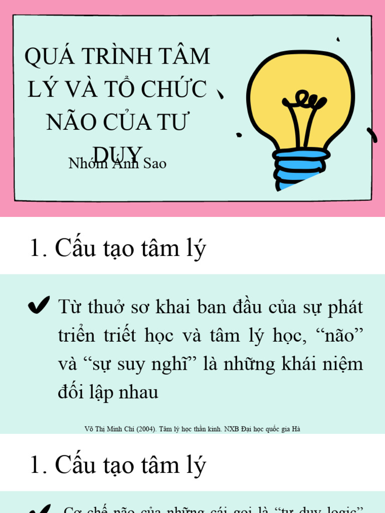 Quá Trình Tâm Lý Và T CH C Não C A Tư Duy | PDF
