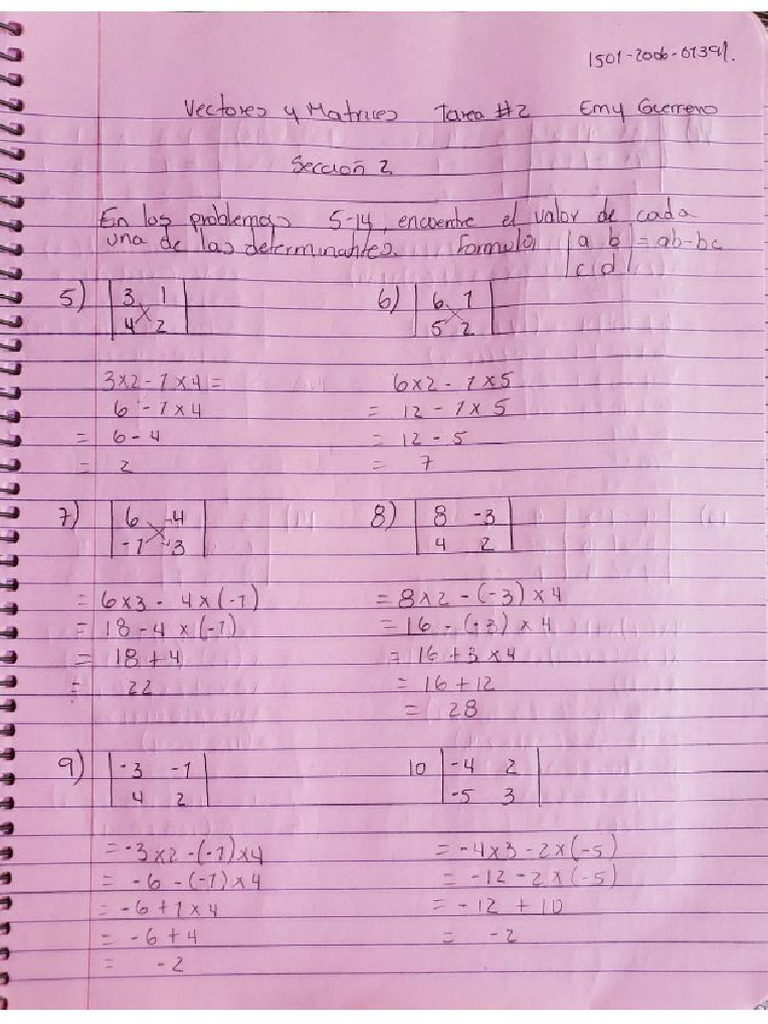 2tarea 2 Vectores y Matrices | PDF