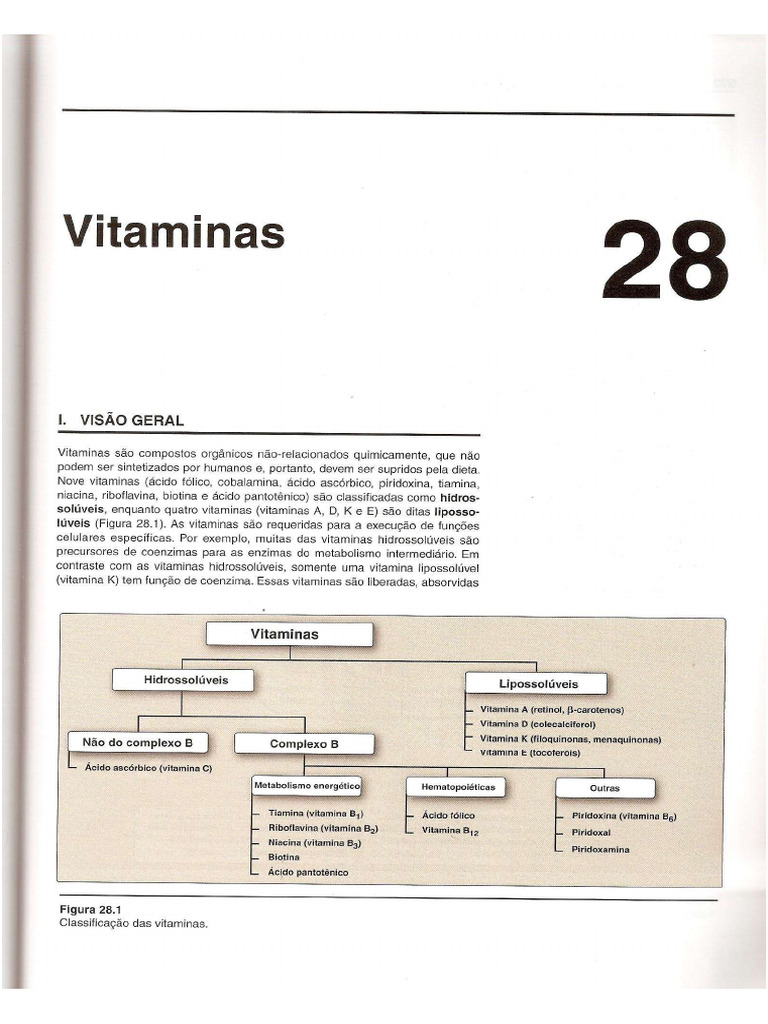 Capitulo de Vitaminas | PDF