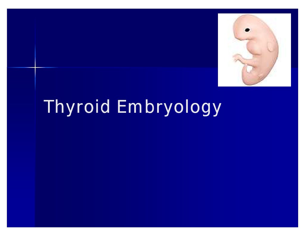 Thyroid Embryology | PDF