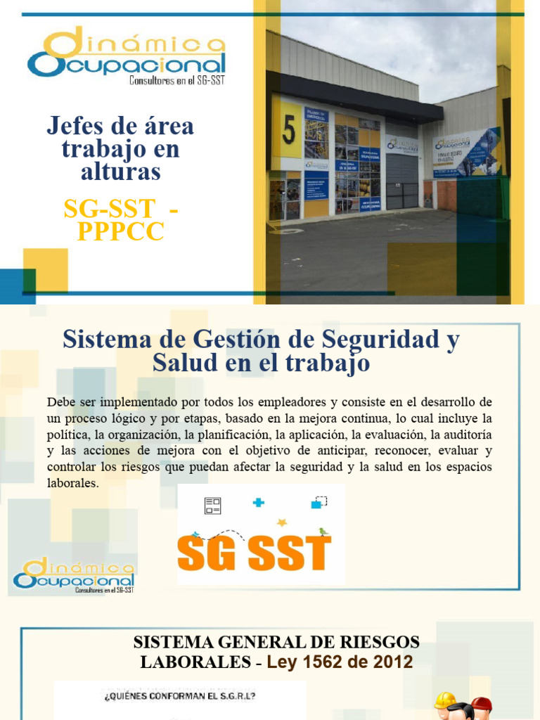C. Jefes de Area SG-SST, Admon y Control Del PPPC | PDF | Valores
