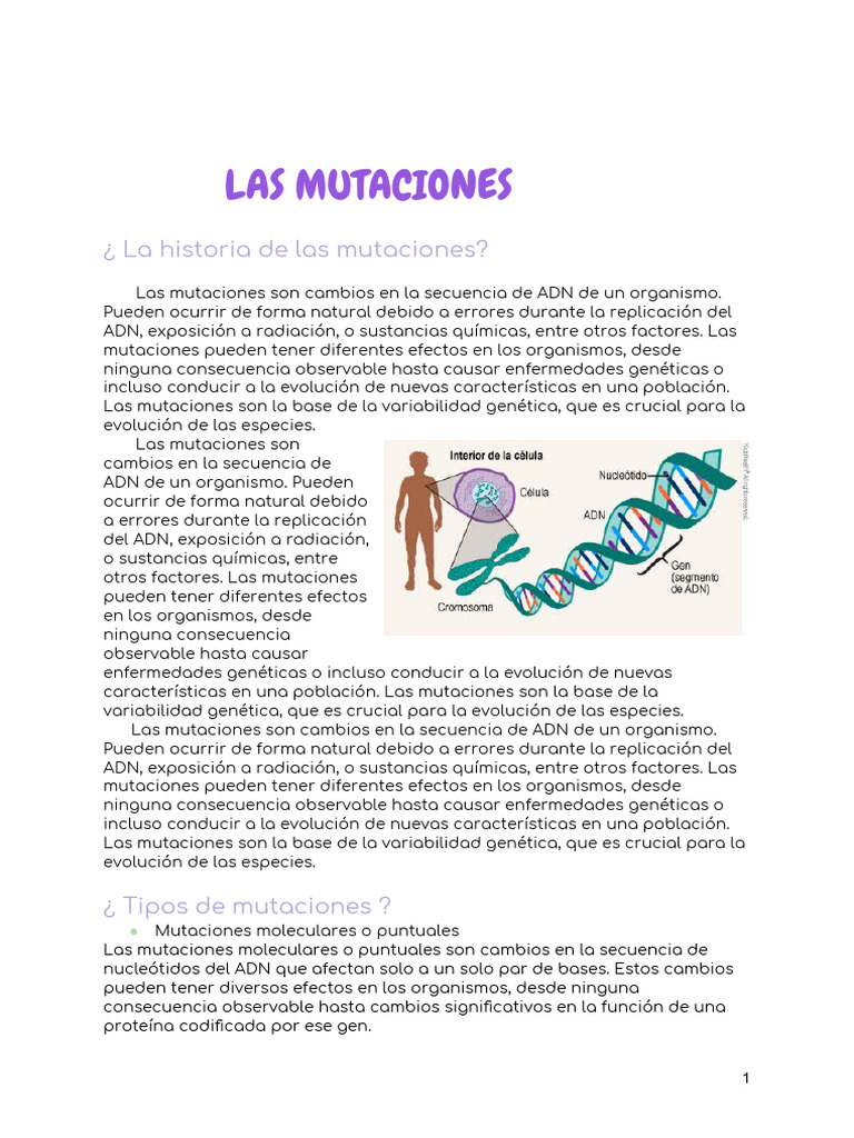 LAS MUTACIONES | PDF | Gene | Mutación
