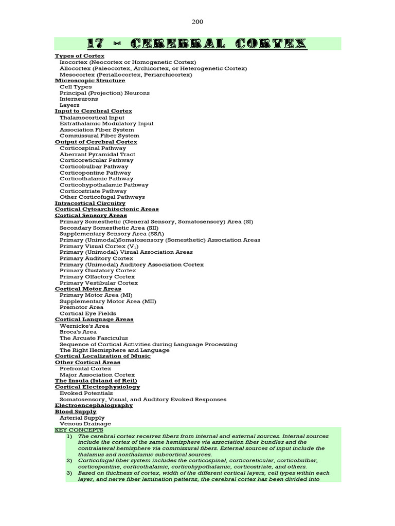(17) The Cerebral Cortex | PDF | Cerebral Cortex | Thalamus