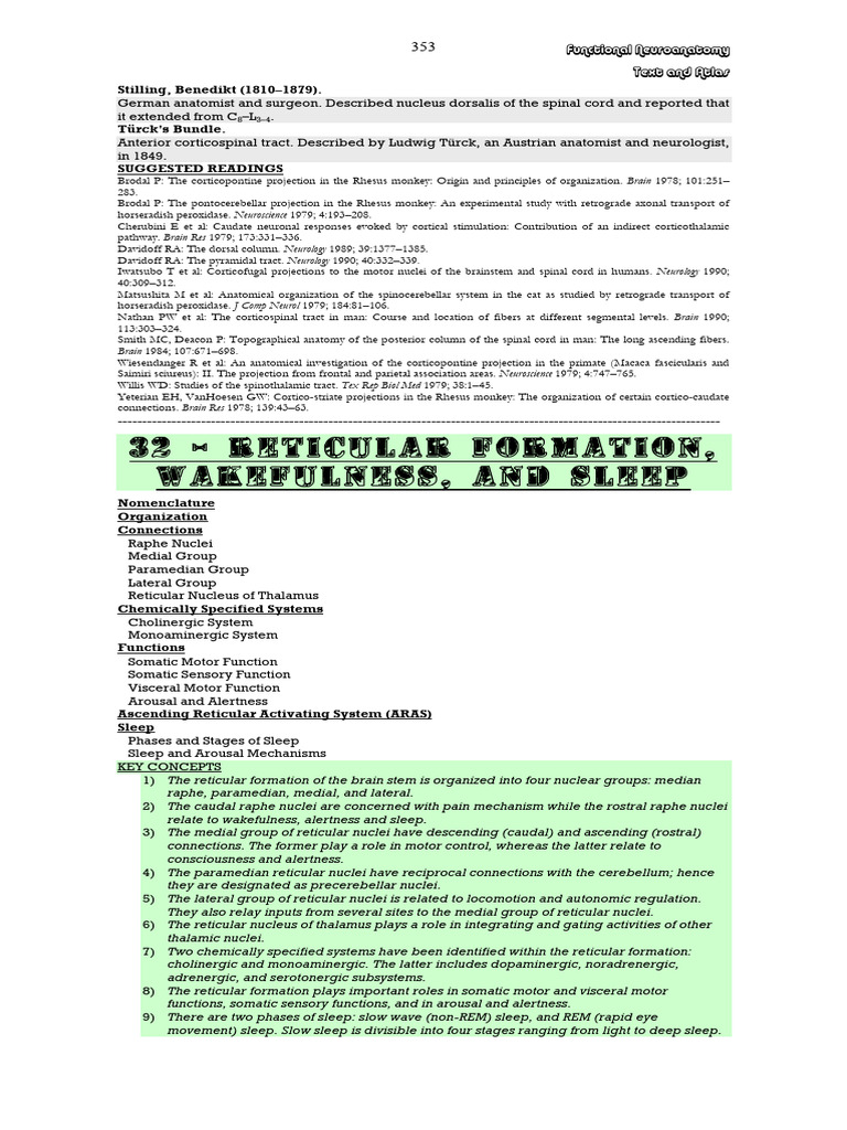 Anatomy and Function of Reticular Formation | PDF | Thalamus | Brainstem