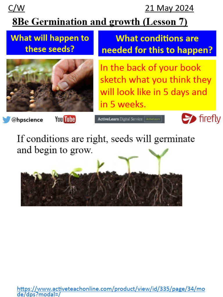 8be Germination and Growth (Lesson 7) SS | PDF | Seed | Germination
