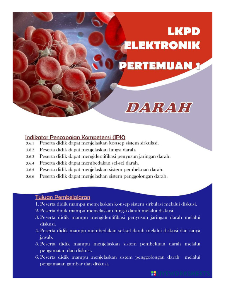 LKPD SISTEM PEREDARAN DARAH KELAS XI | PDF