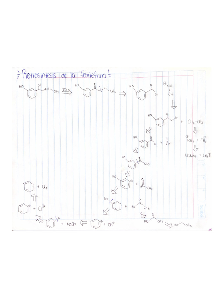 Fenilefrina y Metoxamina | PDF