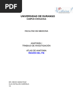 Anatomía del Maléolo Interno del Tobillo | PDF | Tobillo | Anatomía del ...