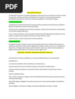 Fisiología del Tono Muscular Explicada | PDF | Músculo | Neurona