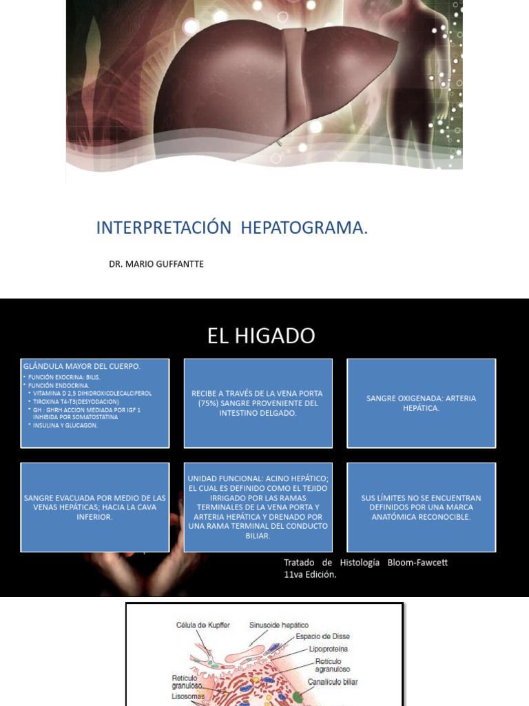HEPATOGRAMA | PDF | Hígado | Transaminasa
