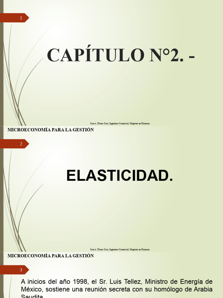 Elasticidad 2 | PDF | Elasticidad (economía) | Oferta y demanda
