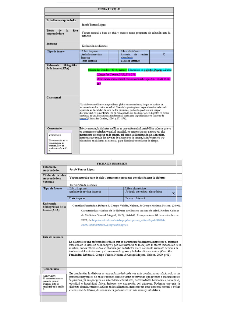 Fichas Textuales | PDF