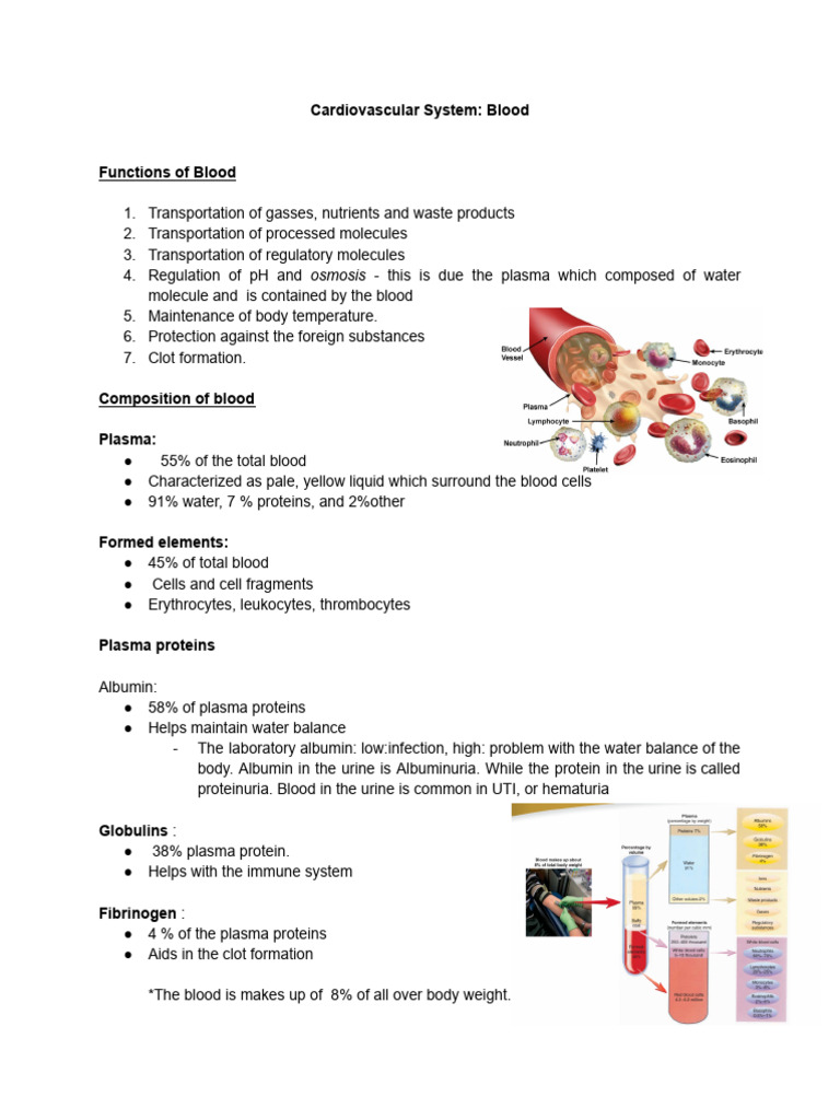 Cardiovascular System | PDF | Heart Valve | Heart