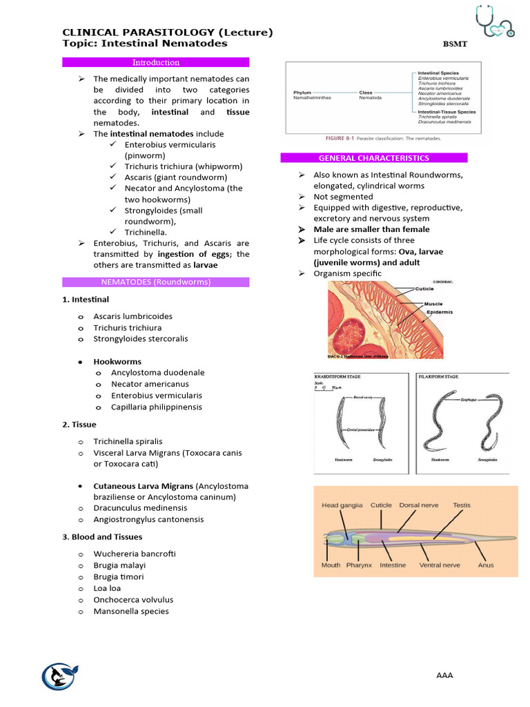 Intestinal Nematodes in Clinical Parasitology | PDF | Nematode ...